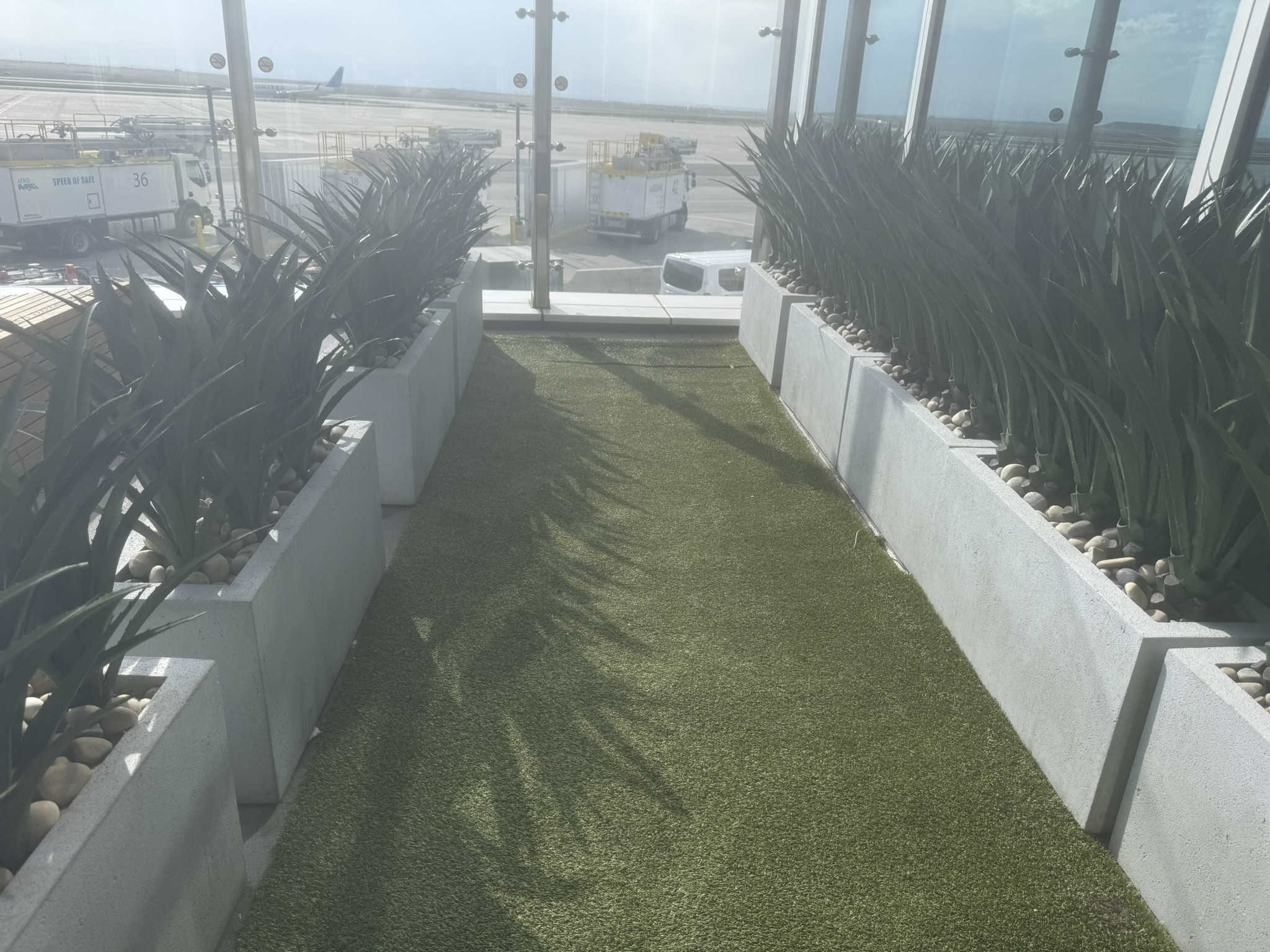 The Ultimate Guide to the Indoor & Outdoor Pet Relief Areas at Denver ...