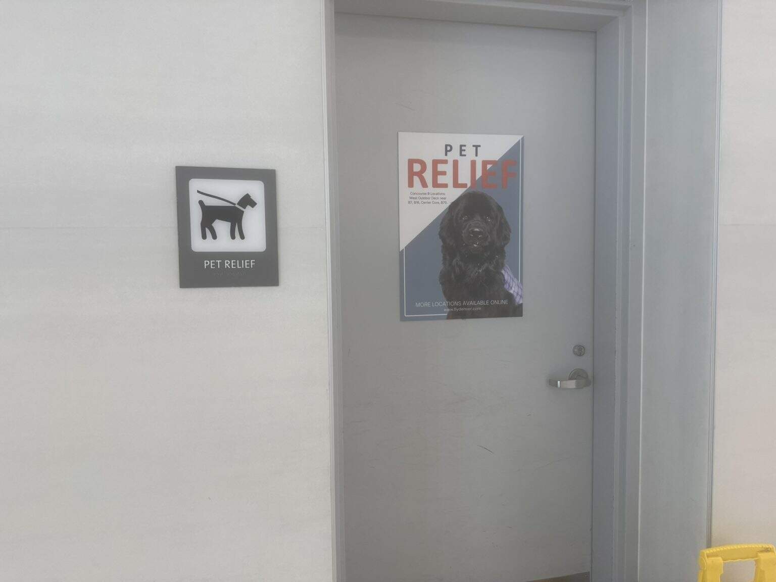 The Ultimate Guide to the Indoor & Outdoor Pet Relief Areas at Denver ...