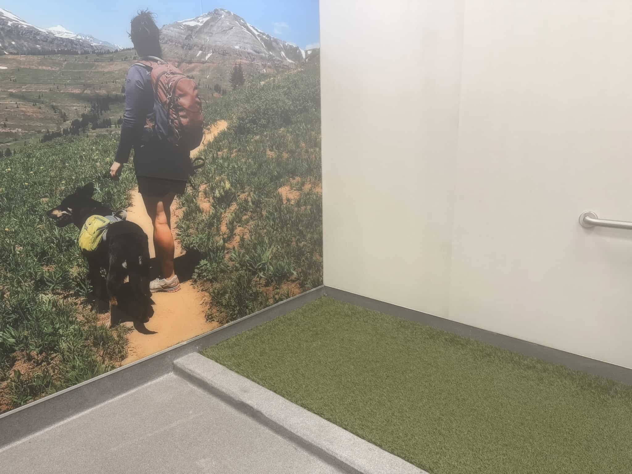 The Ultimate Guide to the Indoor & Outdoor Pet Relief Areas at Denver ...